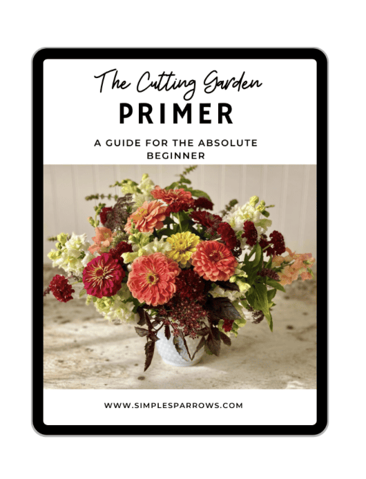 Planning Out the Garden in 4 Simple Steps - The Montessori Twin Mama