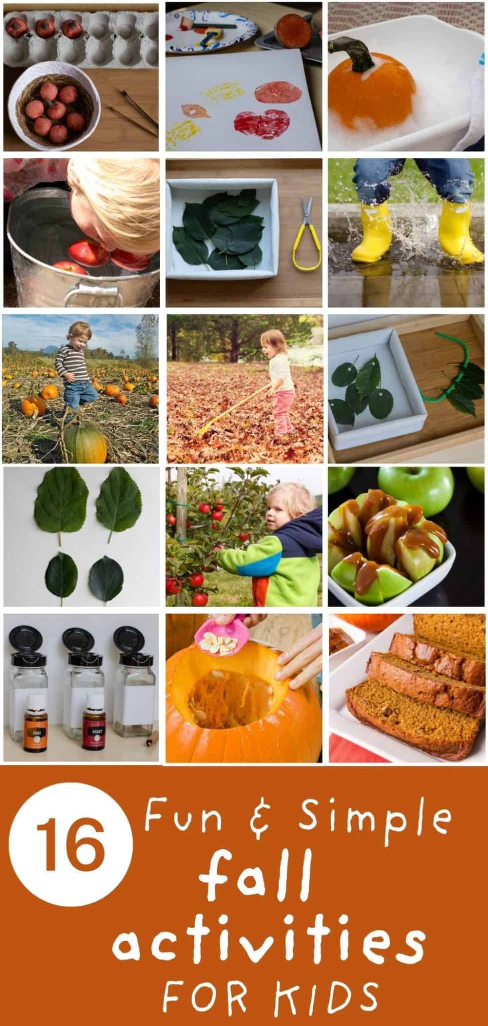 16 Fun and Simple Fall Activities for Toddlers - The Montessori Twin Mama