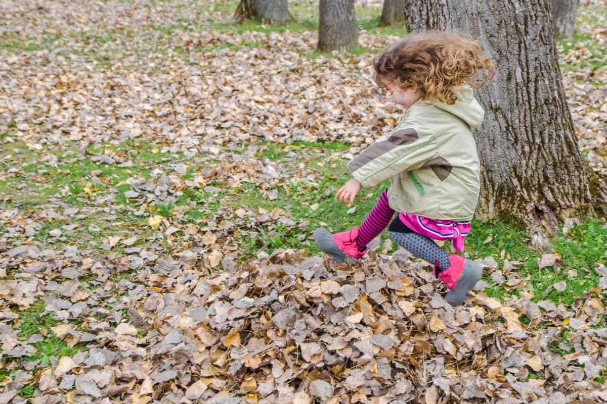 40 Fun Family Fall Activities When You Have Kids - The Montessori Twin Mama