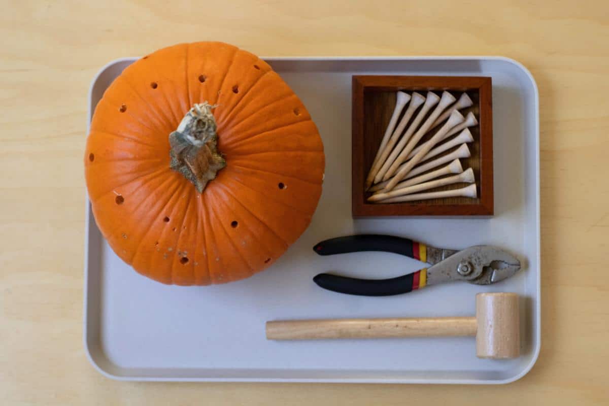 DIY Fall Montessori Activities for Preschoolers - The Montessori Twin Mama